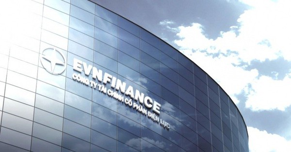 EVN Finance 'ế' hơn 226 triệu cổ phiếu đã chào bán