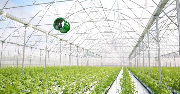 PAN Farm huy động thành công thêm 200 tỷ đồng từ trái phiếu